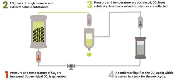 The CO2 Extraction Method